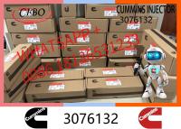 China Automotive Parts Fuel Injector Valve 3095773 3071497 3087587 3076703 3076132 3076130 for K19 KTA19 KTA38 Engine for sale