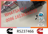 China New Fuel Injector 5237466 R5237466 R-5237466 for Detroit Series 60 S60 S50 12.7L Engine for sale