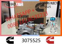 China NT855 NTA855 N4 Diesel Engine Fuel Injection PT Pump 3015253 3075525 3037216 for sale