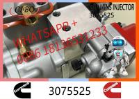 China NT855 NTA855 N4 Diesel Engine Fuel Injection PT Pump 3015253 3075525 3037216 for sale