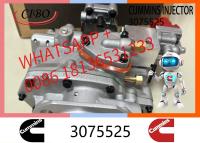 China NT855 NTA855 N4 Diesel Engine Fuel Injection PT Pump 3015253 3075525 3037216 for sale