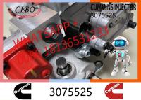 China NT855 NTA855 N4 Diesel Engine Fuel Injection PT Pump 3015253 3075525 3037216 for sale