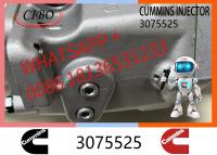 China NT855 NTA855 N4 Diesel Engine Fuel Injection PT Pump 3015253 3075525 3037216 for sale