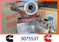 China OEM Engine Parts K38 K50 FUEL INJECTION PUMP 3075537 3636943 for sale