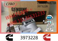 China Genuine Parts CCR1600 5594766 3973228 6745711170 4921431 High Pressure Fuel Injection Pump for for sale