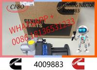China Diesel Fuel Pump2897670 3417296 4307242 4009883 4076759 4087997 4009881 4025674 for sale