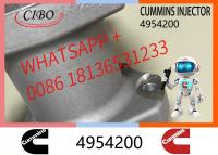 China New Fuel Injection Oil Pump 3973228 4954200 4902732 5594766 4921431 745-71-1150 5311171 for for sale