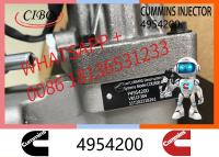 China New Fuel Injection Oil Pump 3973228 4954200 4902732 5594766 4921431 745-71-1150 5311171 for for sale