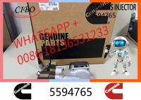 China Wholesale High-performance Fuel Components CR1600 Fuel Pump 5594765 3973228 5594766 3975375 4935674 for 6D114 Engine for sale