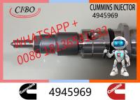 China Fuel Injector 5263262 3976372 4945969 for Machinery Diesel Engine for sale