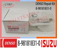 China 8-98181831-0 DIESEL DENSO INJECTOR PARTS REPAIR KIT 294200-0670 294200-3670 FOR  for ISUZU MITSUBISHI for sale