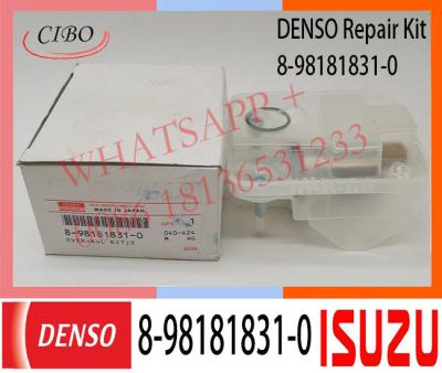 China 8-98181831-0 DIESEL DENSO INJECTOR PARTS REPAIR KIT 294200-0670 294200-3670 FOR  for ISUZU MITSUBISHI for sale