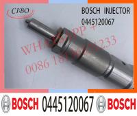 China 0445120067 Diesel Common Rail Fuel Injector EC210 EC210B Excavator VOE20798683 20798683 04290987 for sale