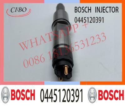 China 0445120391 Common Rail Fuel Diesel Injector 612630090055 For Weichai WP10 Engine for sale