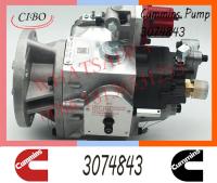 China Diesel NT855 NTA855 Engine Parts For Truck Car PT Pump 3074843 3165399 3074835 3080571 3088361 for sale