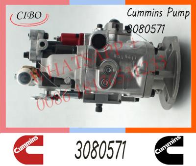 China Diesel Common Rail KTA19-C525 Engine Fuel Injection Pump 3080571 3655884 4913582 3076130 for sale