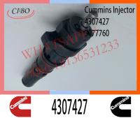 China Fuel Injector K19 KTA19 Common Rail Injector 4307427 3077760 3077715 3279847 3042425 for sale