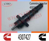 China Fuel Injector K19 KTA19 Common Rail Injector 4307427 3077760 3077715 3279847 3042425 for sale