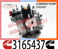 China GCY290 JY-400 Rail Car Parts NTC-290 NT855-C280 Engine Parts Fuel Pump 3655215 3165437 for sale