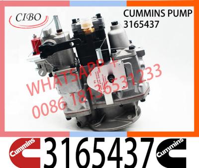 China GCY290 JY-400 Rail Car Parts NTC-290 NT855-C280 Engine Parts Fuel Pump 3655215 3165437 for sale