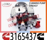 China GCY290 JY-400 Rail Car Parts NTC-290 NT855-C280 Engine Parts Fuel Pump 3655215 3165437 for sale