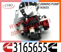 China Diesel Engine Parts Fuel Pump 3165655 3419494 3165437 Engine Accessories for sale