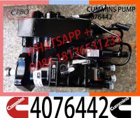 China Diesel Engine Fuel System Parts QSC8.3 Fuel Pump 4076442  2791667 for sale