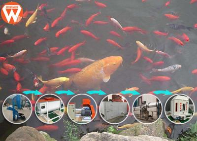 China Mesh Belt Fish Feed Processing Machine , 65KW Fish Food Manufacturing Process for sale