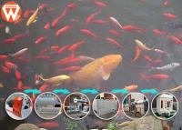 China Yield 3-4 T/H Sinking Floating Fish Feed Plant With Rotary Spray Machine for sale