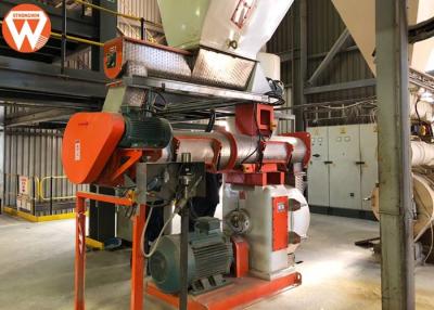 China Rabbit Bunny Feed Pellet Production Line With Fodder Grinder Machine 200kw for sale