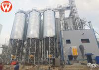 China SKF Bearing Corn Soybean 30t/H Animal Feed Production Line for sale