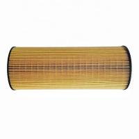 China Truck Engine Oil Filter A5411800209 E500hd129 E500hd129 for sale