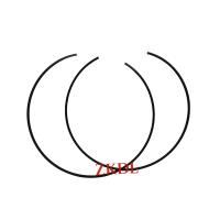 China Original Shaanxi Shuangte FC6A250 Gearbox Spare Part 317-0808 Seal-O-Ring Steel New Condition for SANY TONYL Mining Truck Parts for sale