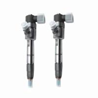 China High Quality Diesel Fuel Injector 0445110805 for JMC QlLlNG T7 Engine Truck Parts for sale