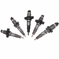 China High Quality Diesel Engine Injector Assembly Fuel Injector 0445120212 Engine Truck Parts for sale