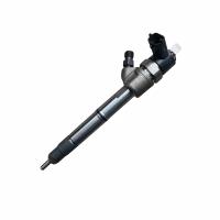 China Factory Prices Diesel  Common Rail Fuel Injector 0445110677 for Foton/cnhtc/jac/shanqi/Dongfeng for sale
