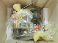 China OEM Rexroth Piston Pump A2FM90_61W-VBB100 Rexroth Hydraulic Pump Spare Parts for sale