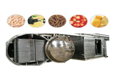 China YZG/FZG Series 4-12 Layer Vacuum Freeze Dryer Machine with 35-150°C Temperature Range for Food Processing for sale