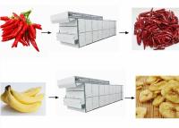 China 150-900kg/h Continuous Mesh Belt Dryer with 60-130°C Temperature Range for Food Processing for sale