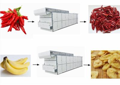 China 150-900kg/h Continuous Mesh Belt Dryer with 60-130°C Temperature Range for Food Processing for sale