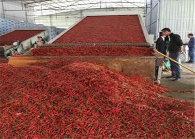 China 35.3kW Continuous Belt Drying Equipment 4×3 Unit for Hemp and Alfalfa with 24m Drying Length and 150-900kg/h Capacity for sale