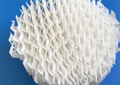 China Customizable 125X Plastic Structured Packing For Tail Gas Purification for sale
