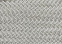 China Alkali Resistance  Plastic Tower Packing for sale