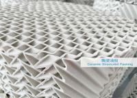 China 160Y Chlorine Ceramic Tower Packing Material In Absorption Column for sale