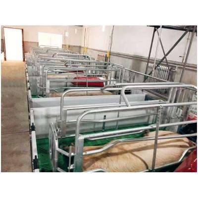 China Pig Farm Equipment Farrowing Cage For Sow Delivery piglets for sale