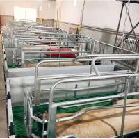China 1500 Sows Pig Farm Project Equipment Maternity Cage For Sow for sale