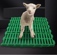 China Sheep Farm Pure PP Plastic Slatted Floor Washable Easy To Install for sale