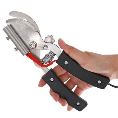 China Piglet Swine Livestock Accessories Stainless Steel Electric Tail Cut Scissor for sale