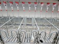 China Anti Corrosion Pig Farm Project Equipment Gestation Crate Purchase for sale