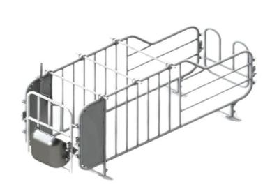 China Livestock Equipment hot galvanized Sow Individual Mating Crate for sale